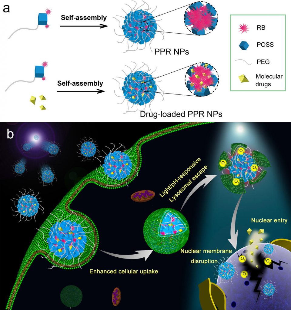 Development of a Light-Controlled Nanoplatform for Direct Nuclear ...